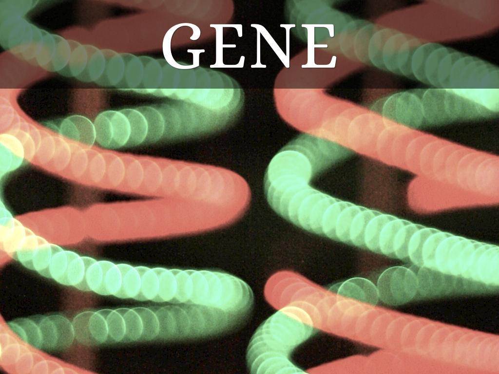 Genes Life Science by Ainsley Hoover